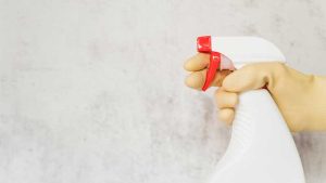 MouldBusters | Certified Mould Inspection & Remediation