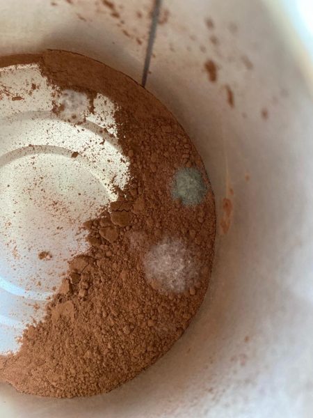 Mould Remediation Near Me | Expert Services by MouldBusters