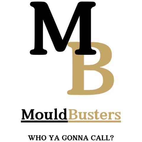 MouldBusters | Certified Mould Inspection & Remediation