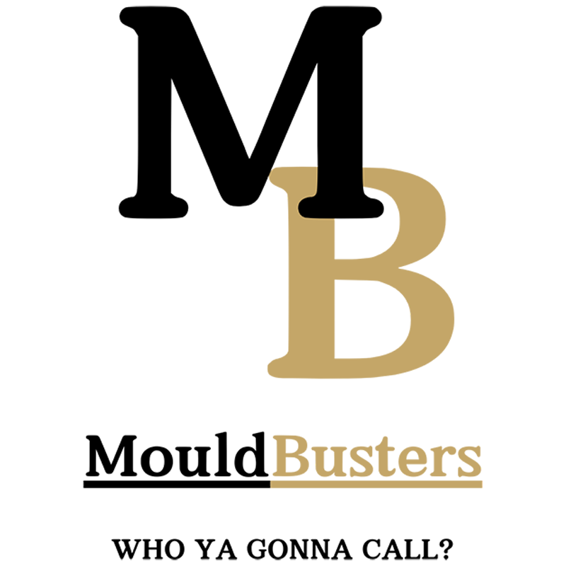 Mould Removal Company | FAQs by MouldBusters