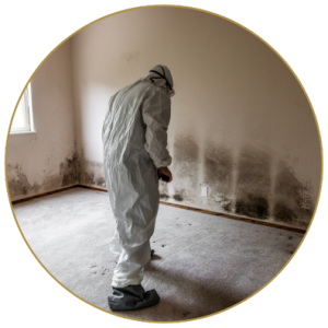 MouldBusters | Certified Mould Inspection & Remediation